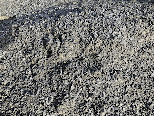 D. W Parker Skip Hire: Looking for skip hire in Ayrshire?